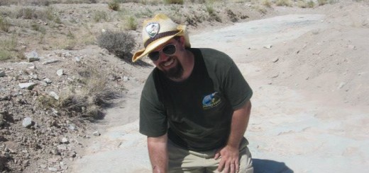 PeerJ talks to Dr. Scott Hocknull about a new giant sauropod ...