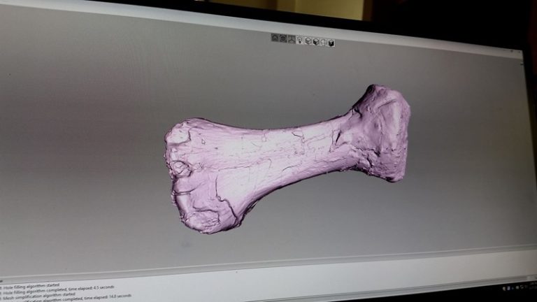 The Real Bigfoot: Behind the scenes with the largest dinosaur foot ever ...